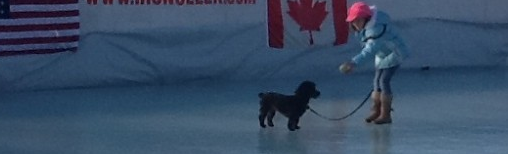 Do-It-Yourself Backyard Ice Rink Made Easy!