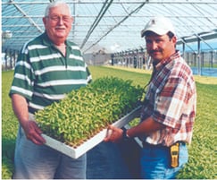 Greenhouse Plastic- 10 Year UV Warranty Clear Greenhouse Film-