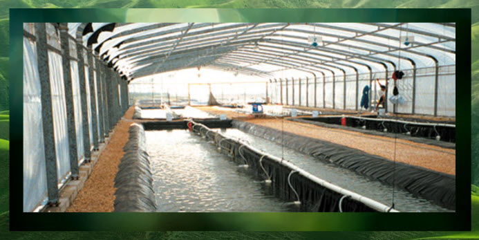 Permalon Liners- Aquaculture, Ponds, Tanks, Fish Safe