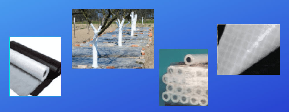 Shop 6 mil Plastic Sheeting White, Clear, Black, Greenhouse 20' x 100'