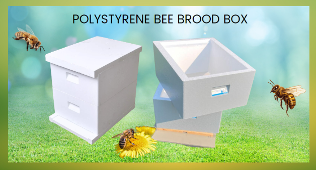 Beekeeping With EPS Polystyrene Bee Boxes: