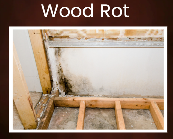 Signs Your Crawl Space Needs Lining and Why It's Essential